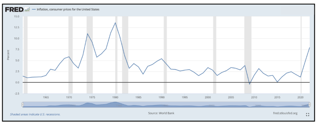 Should You Invest in an Inflationary Environment? - BV Capital